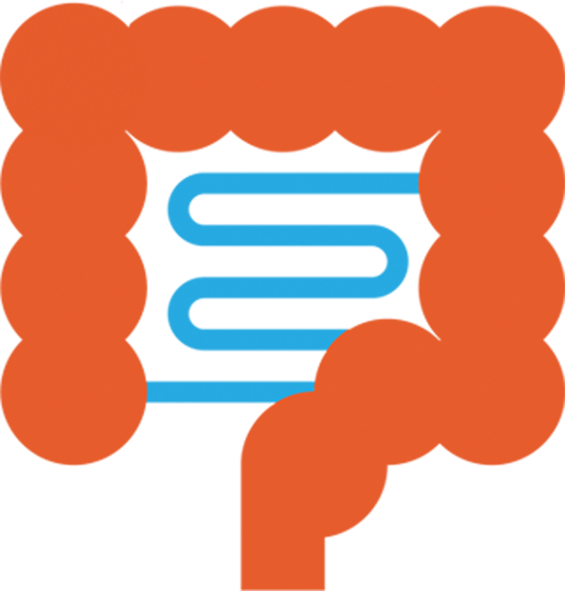 Renadyl® & Creatinine: How Probiotics Support Kidney Health